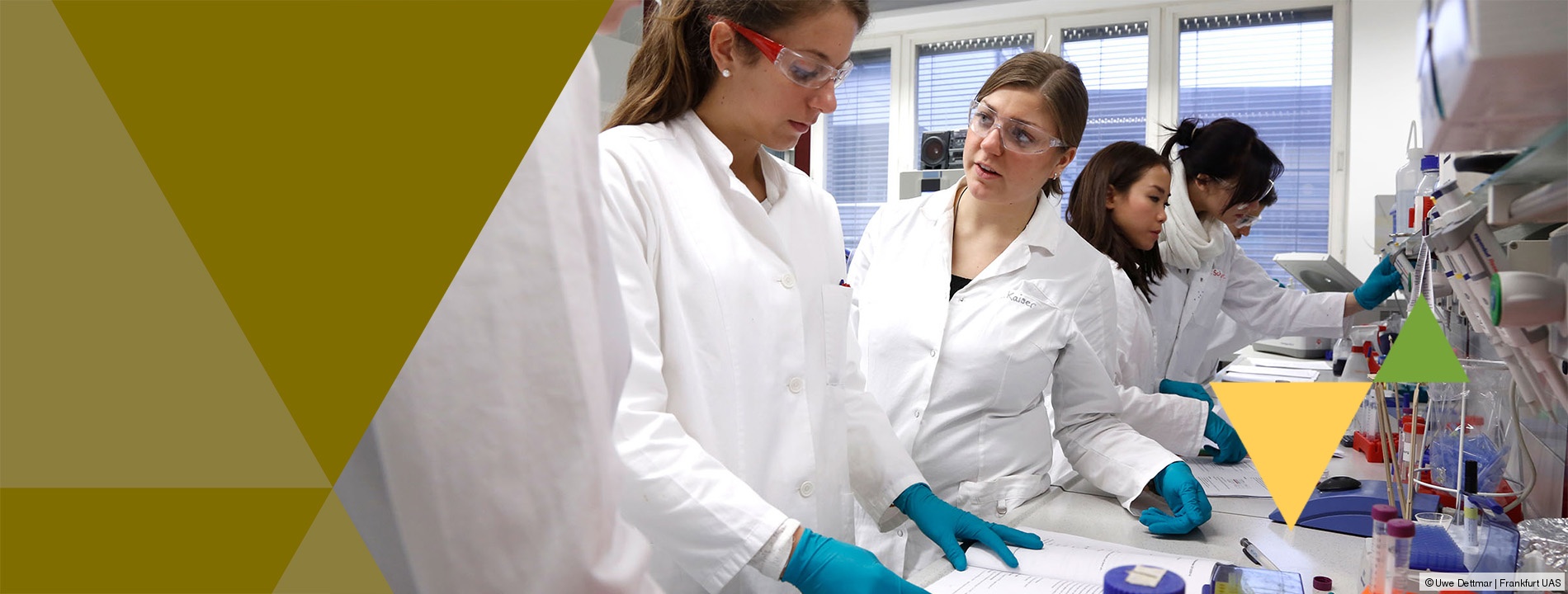 Biological/Environmental Process Engineering (M. Eng.)